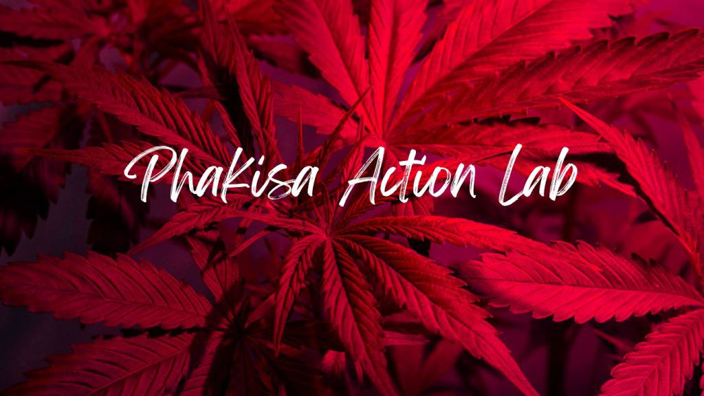 Phakisa Action Lab: There is Light! - Cannacopia